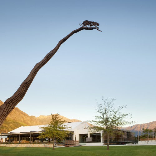 LEOPARD’S LEAP DAY – Leopards Leap